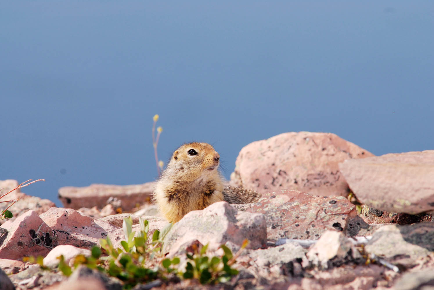 Thelon River, Nunavut | Canadian Heritage Rivers System